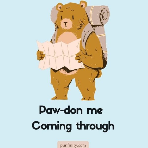 149+ Bear Puns That Are Unbearably Funny – Punfinity