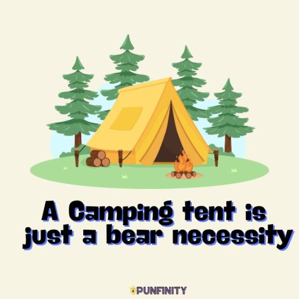 Best Camping Puns to Light Up Your Campfire – Punfinity