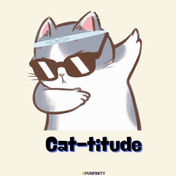 128+ Purr-fectly Funny Cat Puns to Make Everyone Meow [2024]