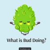 Creative Garden Puns To Make Your Gardening Day Giggly – Punfinity