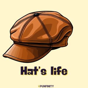 A Head-Spinning Collection of Best Hat Puns – Punfinity