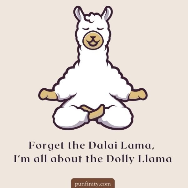 113+ Llama Puns That are Wooly Funny – Punfinity