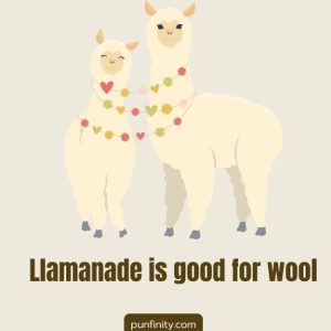 113+ Llama Puns That are Wooly Funny – Punfinity
