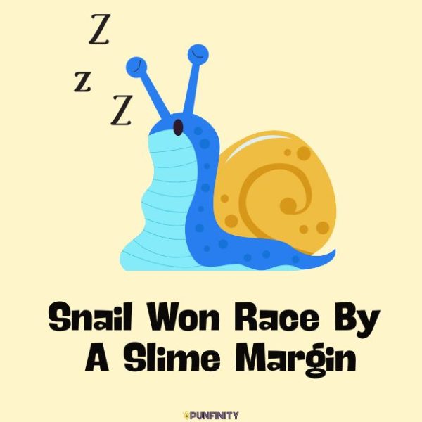 171 Snail Puns For Folks With Slow Humor