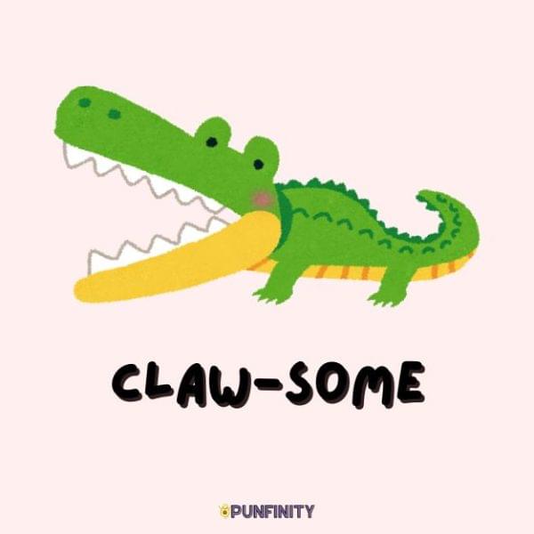 Witty Alligator Puns for a Jawsome Time – Punfinity