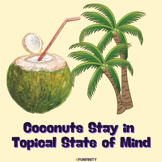 Shell Yeah: 139+ Hand-Picked Coconut Puns For Sweet Laughs
