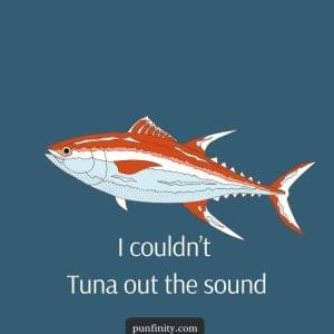 157 Fish Puns To Reel In Laughter! – Punfinity