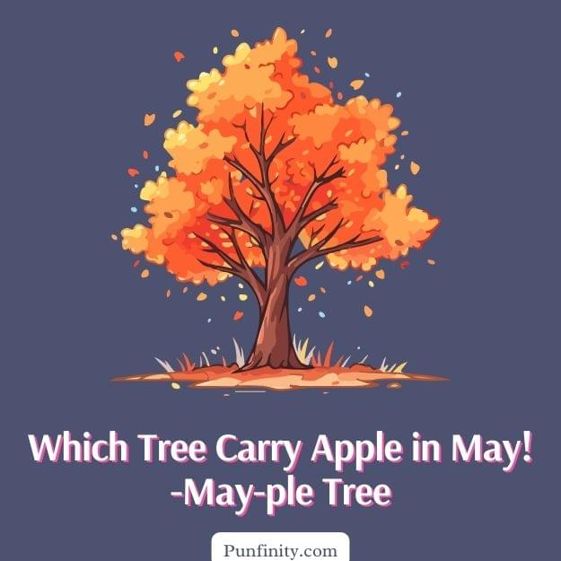 139 May Puns That Will May-ke Your Day Bright [2024 Updated]