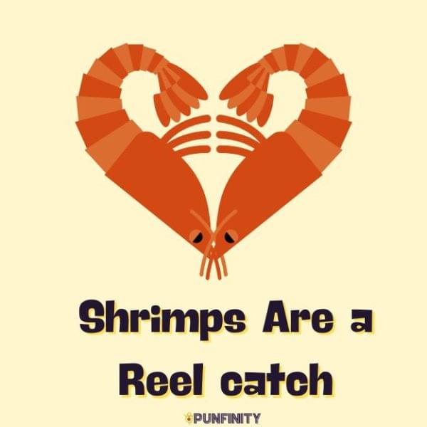 129+ Shrimp Puns To Get Laughs On Seafood Humor – Punfinity