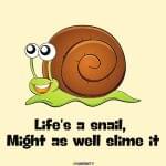 171 Snail Puns For Folks With Slow Humor