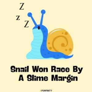 171 Snail Puns For Folks With Slow Humor