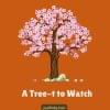 131+ Tree Puns To Branch Out With Arboreal Humor