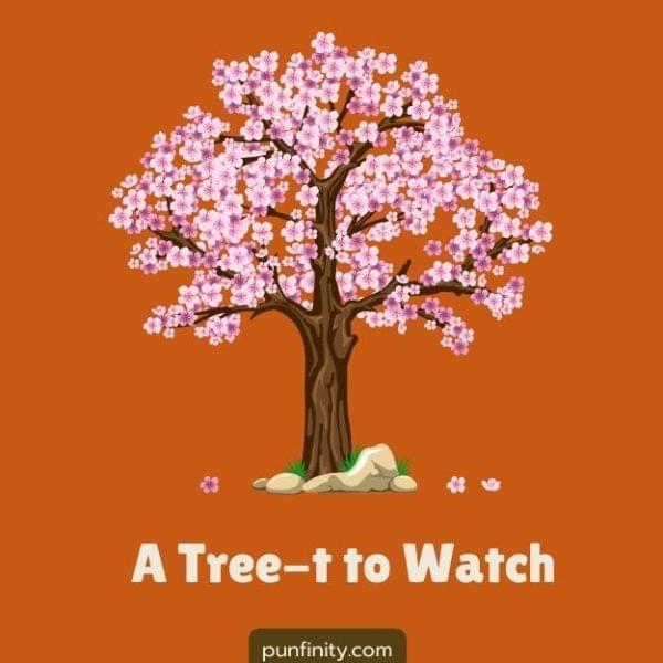 131+ Tree Puns To Branch Out With Arboreal Humor