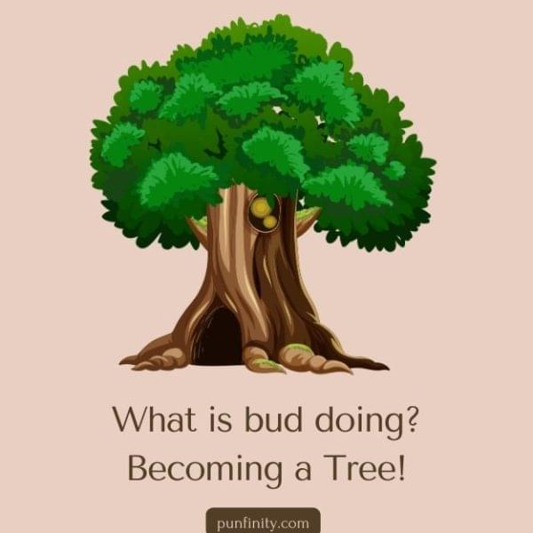 131+ Tree Puns To Branch Out With Arboreal Humor