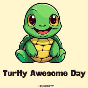 139+ Finest Turtle Puns to Shell Out Laughs and Creativity