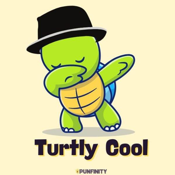 139+ Finest Turtle Puns to Shell Out Laughs and Creativity