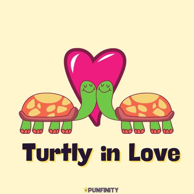 139+ Finest Turtle Puns to Shell Out Laughs and Creativity