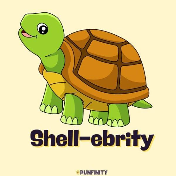 139+ Finest Turtle Puns to Shell Out Laughs and Creativity