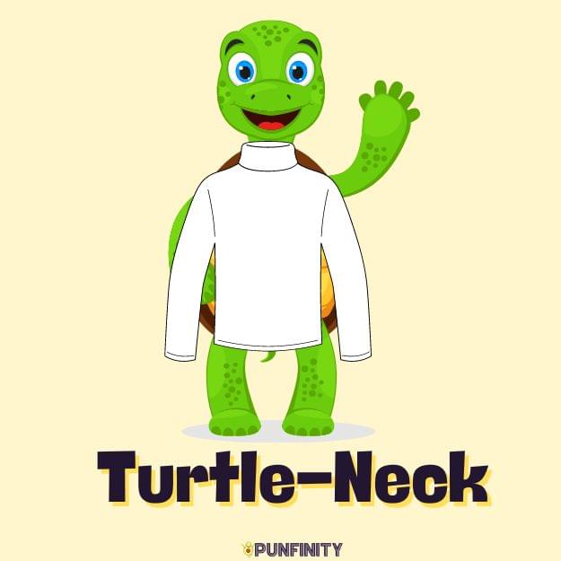 139+ Finest Turtle Puns to Shell Out Laughs and Creativity