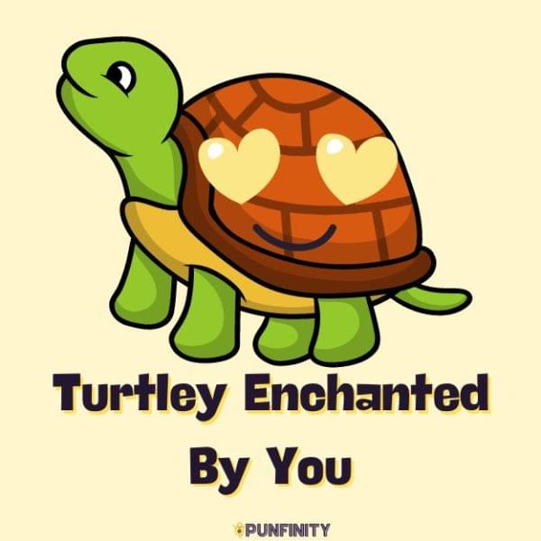 139+ Finest Turtle Puns to Shell Out Laughs and Creativity