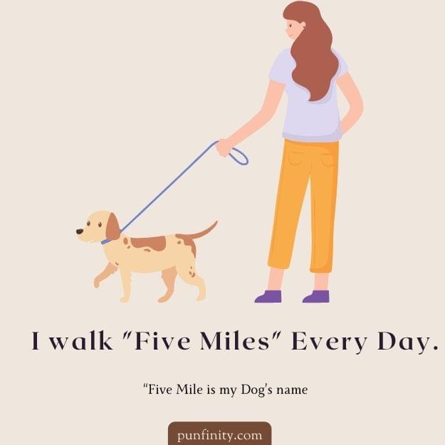 239+ Best Walking Puns To Step Up Your Humor Game [2024]